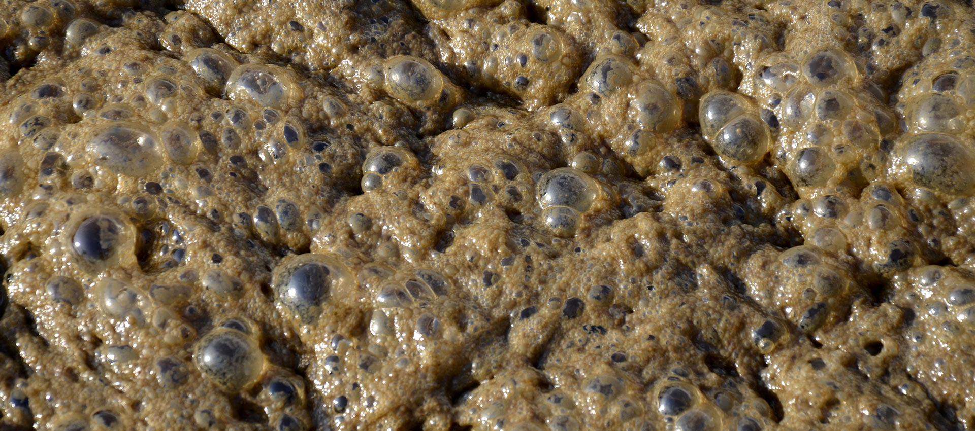 Mélasses et égouts - POMPES BROQUET